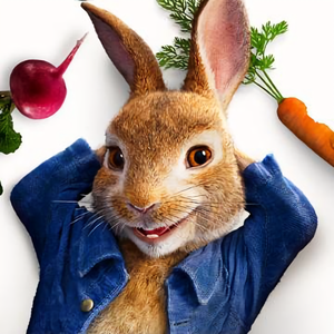 萝卜兔的奇趣视频 