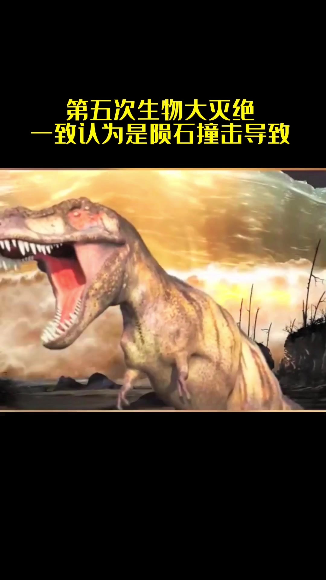 你知道第五次生物大灭绝的陨石坑在哪里吗?第六次会...