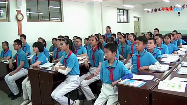 六年级上册第四单元第1课时《百分数的认识》_S142106