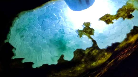 翡翠: 切一块8W的翡翠原石, 一刀下去切出两条冰种手镯!