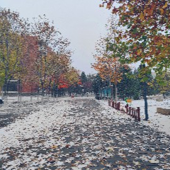 不冷公交站台 