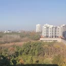 恰似流年易逝 