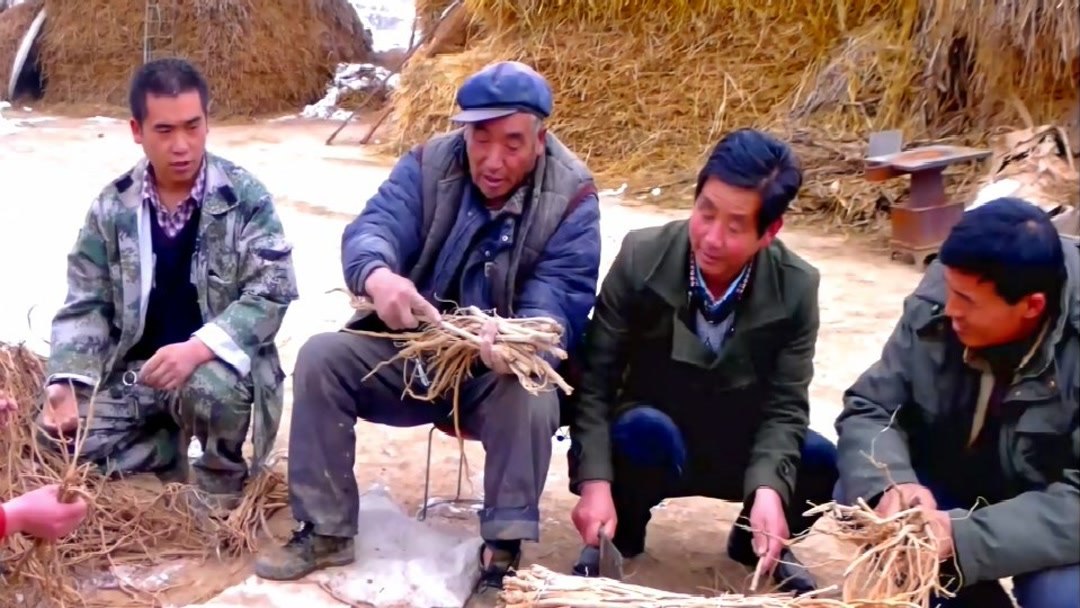 国际人士谈中国减贫经验如何助力全球可持续发展目标实现