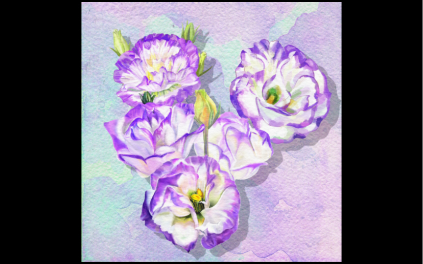 【KEIMOON 】绘画过程 花 桔梗