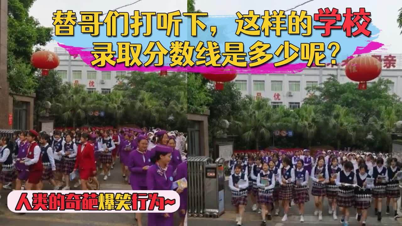 人类的奇葩爆笑行为,打听下,这样的学校录取分数线是多少呢?