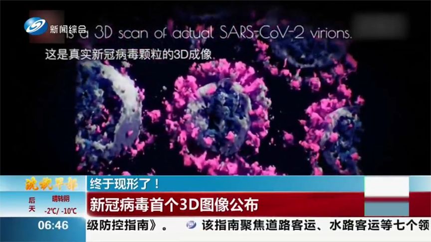 首个新冠病毒3D图像“现形”,并展示病毒入侵人体细胞的过程
