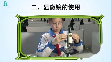 练习使用显微镜