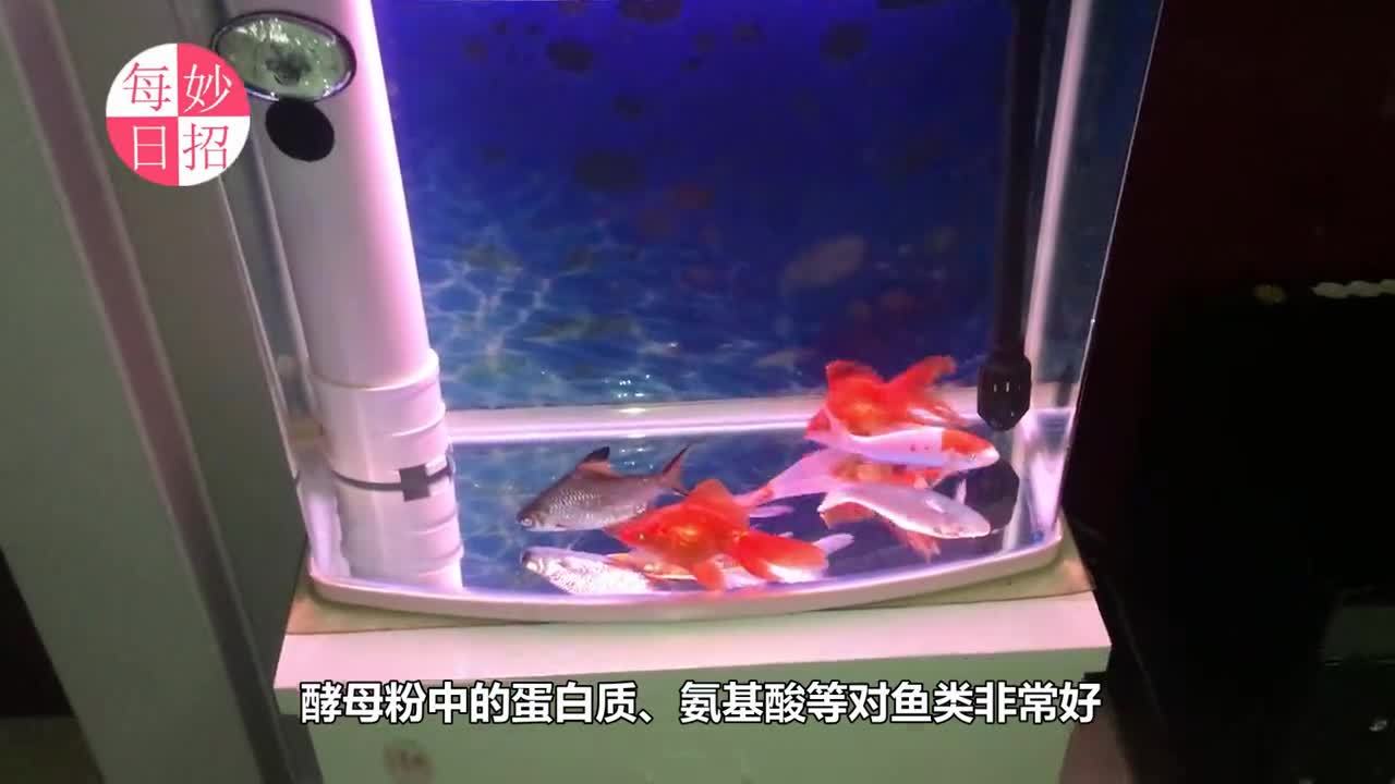 2元一袋的酵母粉你家里有吗?它竟有这么多用途,早看到好了