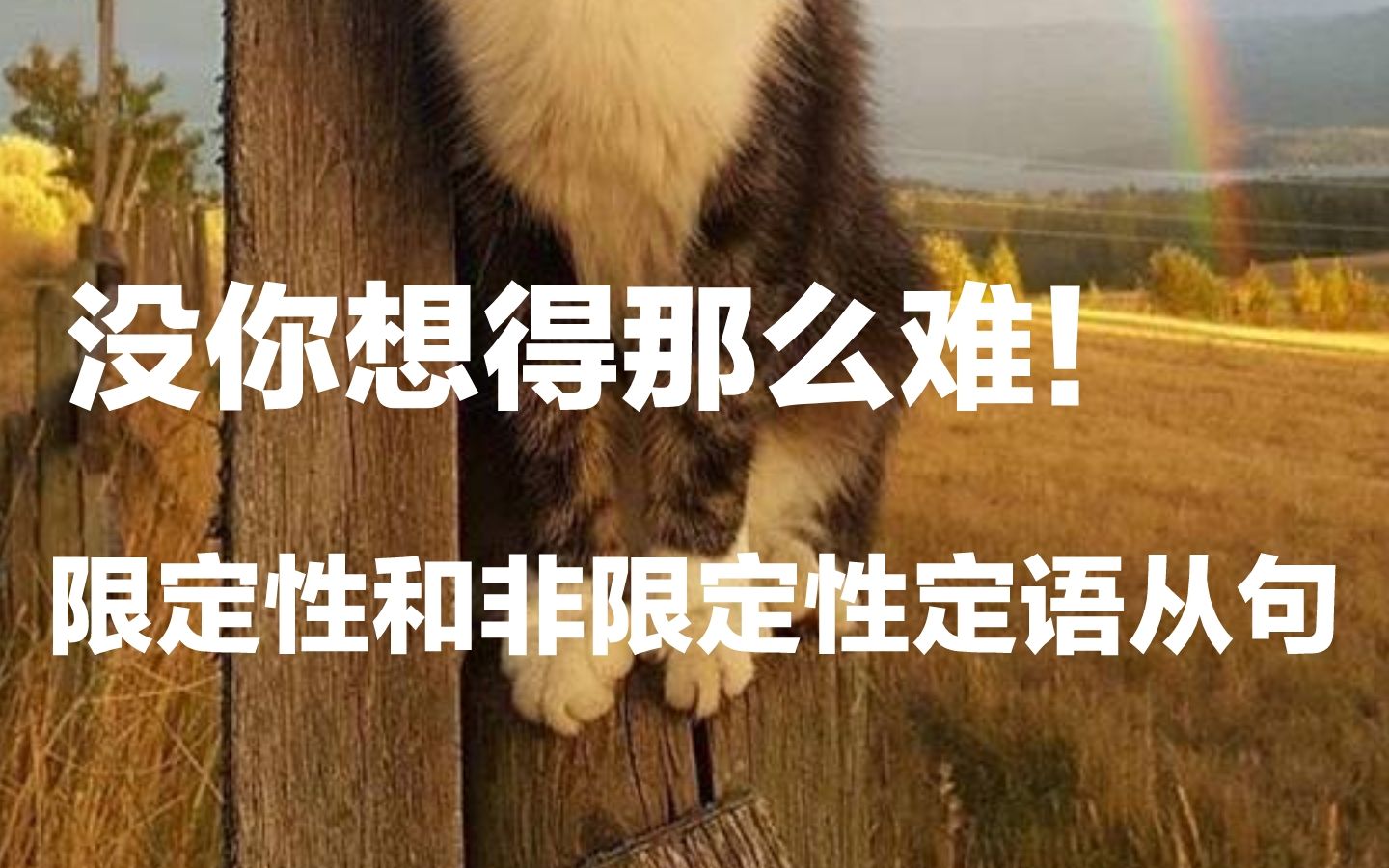 关于定语从句,你必须理解的一个概念。