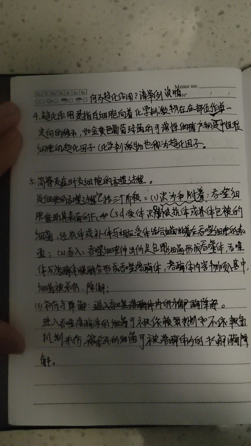 病理学 炎症 简答题2