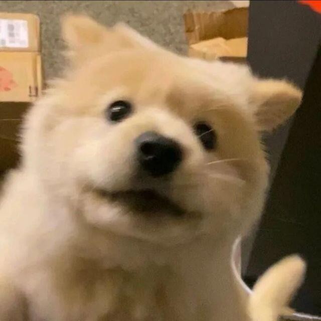 隔壁的小蜗 
