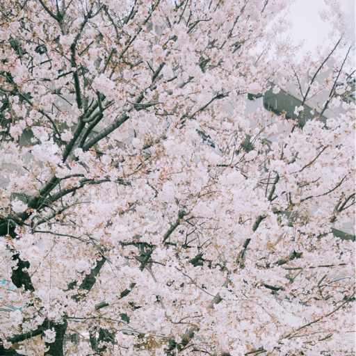 账号已注销 