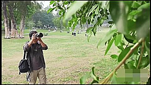 佳能单反相机入门教程, 索尼5n微单摄影教程, 单反拍摄技巧视频