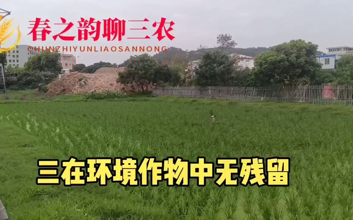 防治线虫危害,促进根系及植株生长,提高农作物产量。