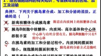 血糖平衡的调节