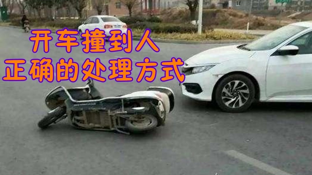 如果开车不小心撞到人,怎么处理对自己最有利,教你正确处理步骤