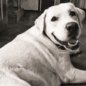 老秦的平凡时光 