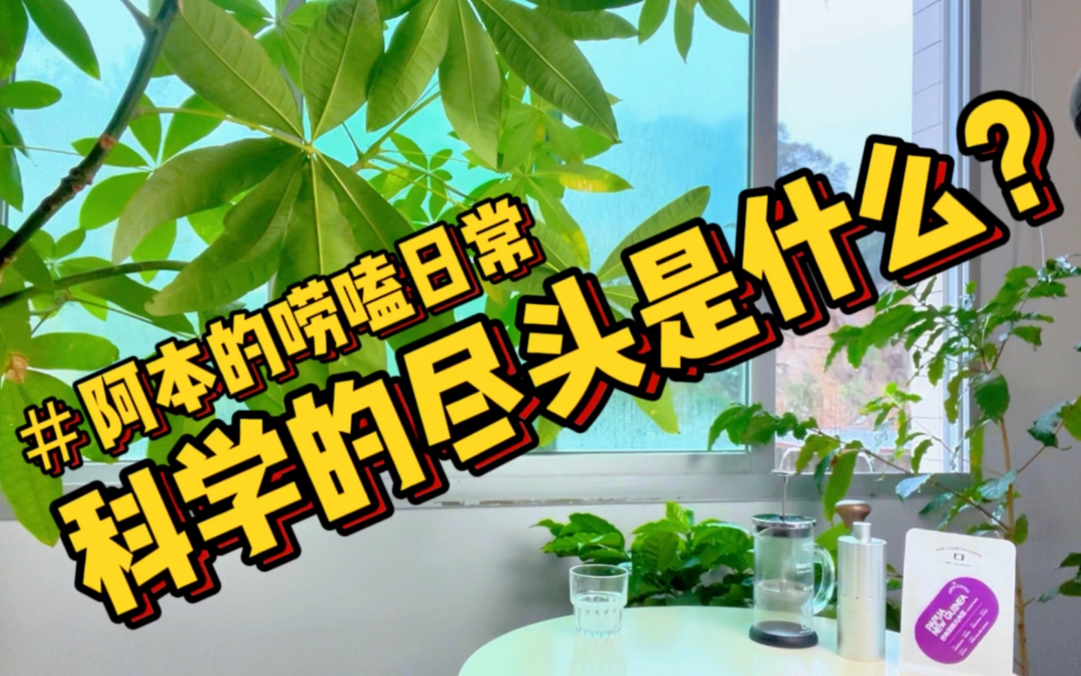 法压一壶“小蓝山”咖啡。