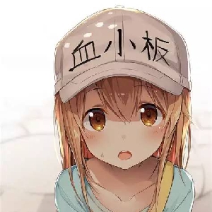 爱发呆的辉大人 