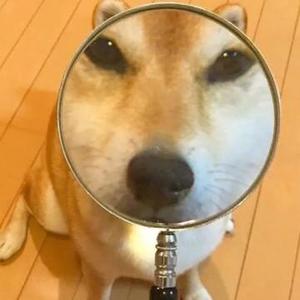 看今天动漫 