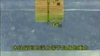 微课:物体的浮沉条件