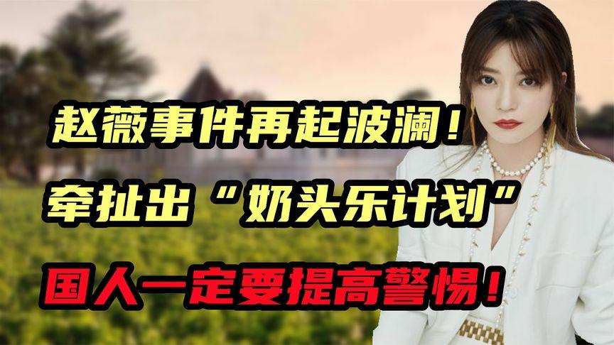 赵薇事件再起波澜! 扯出“奶头乐计划”, 国人一定要提高警惕!