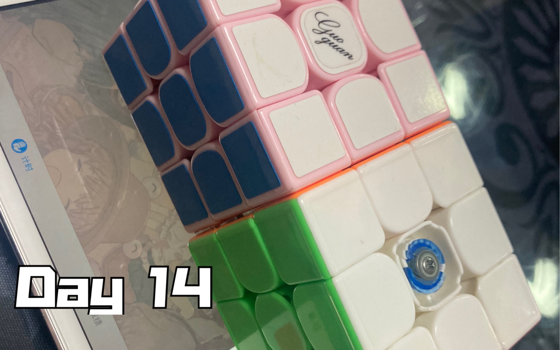 「帕尼尼」寒假魔方打卡Day 14