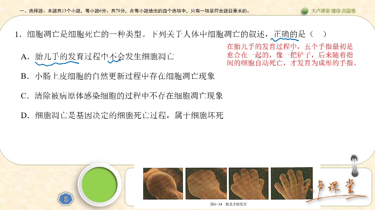 生物:细胞凋亡(2019全国1卷理综第1题)