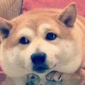 大虾学财经 