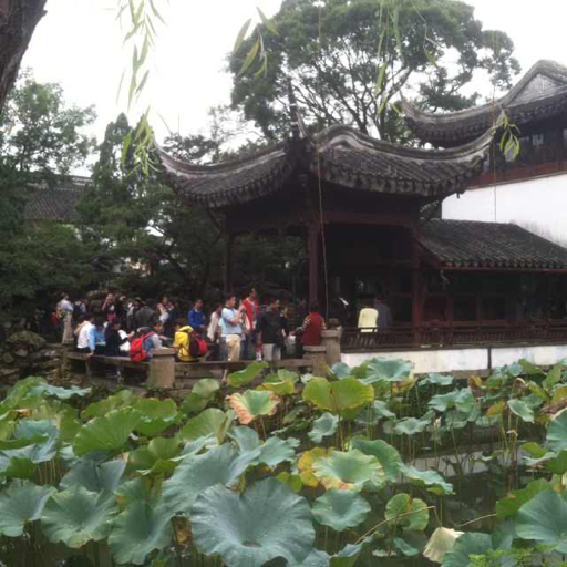 顾淳几 