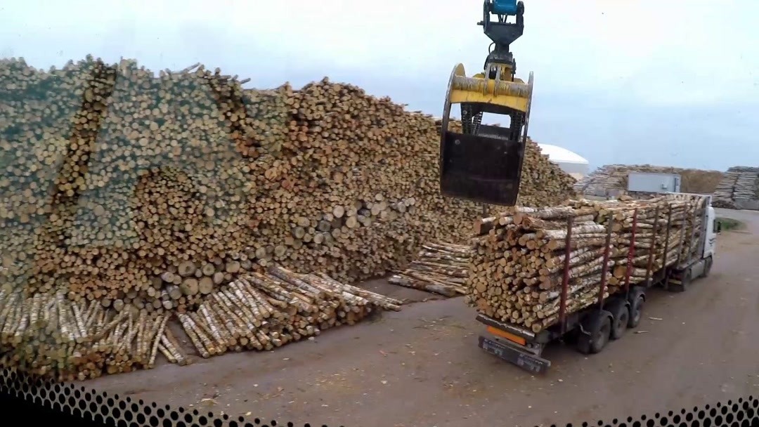 数以万计的木材堆积如山,是如何装车运走的?看完恍然大悟!