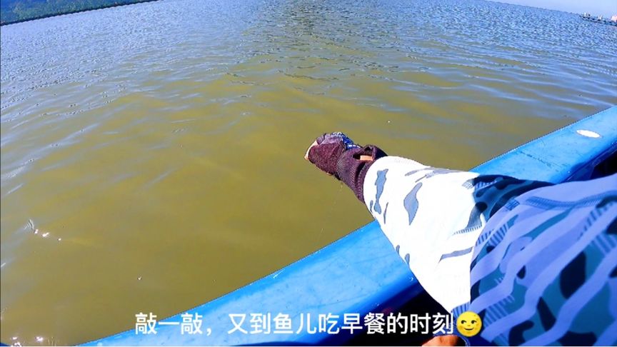 手丝钓黄脚腊过程ߌ�ߌ
