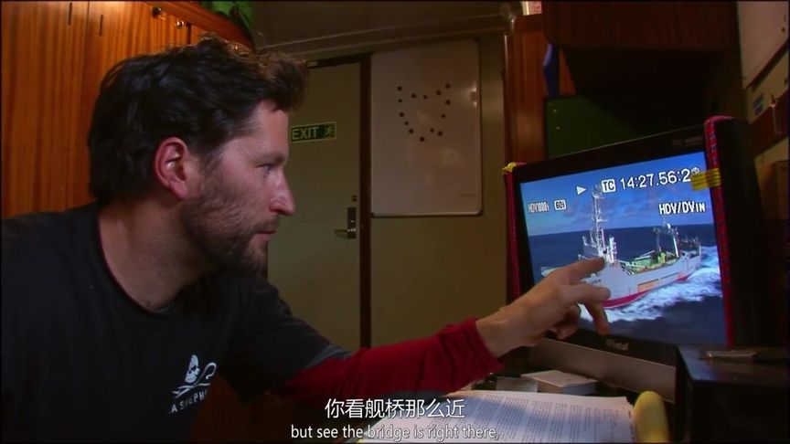 护鲸大战:船员夜间登船,行动却意外取消?反捕鲸行动陷入困境