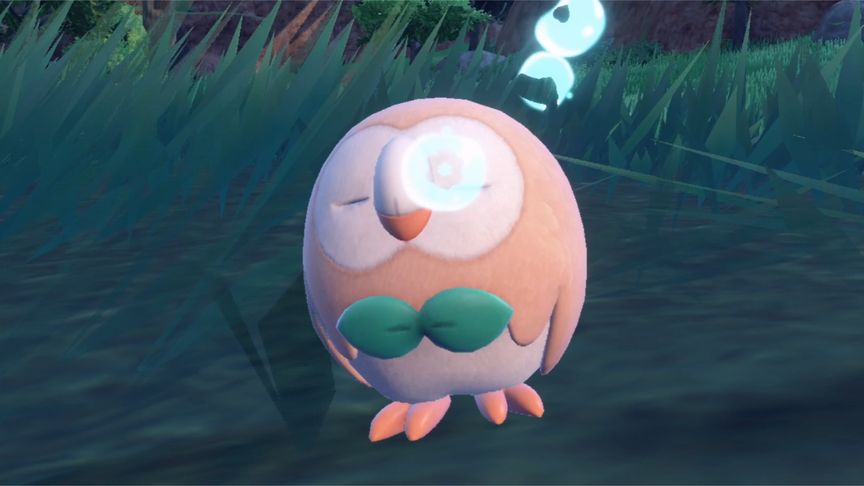 宝可梦朱紫出门刷个木木枭 还有水水獭 可爱