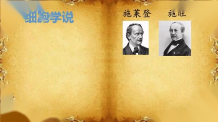 细胞的多样性和统一性_高清