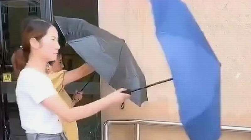 这才是真正的全自动雨伞,彻底解放双手,收缩超简单!