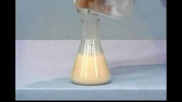 人类对细菌和真菌的利用