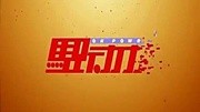 [大众新迈腾] 自动泊车功能展示