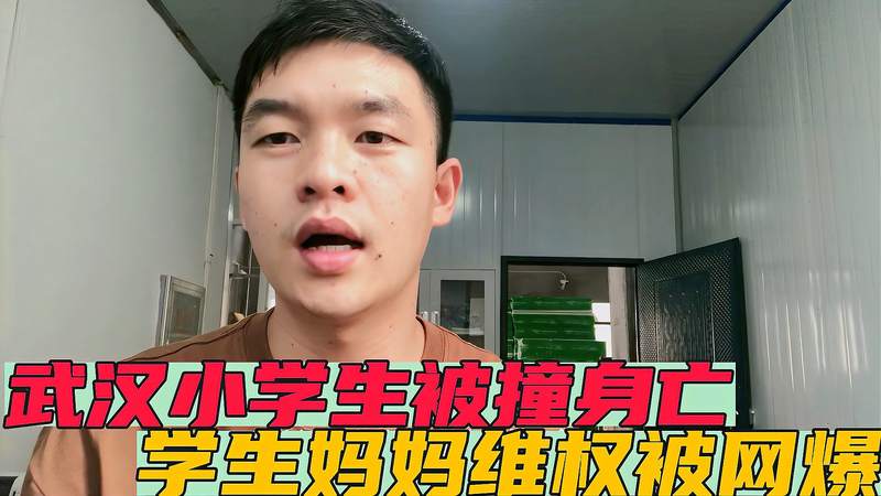 武汉小学生被撞身亡,学生妈妈维权被网爆,人性太可怕!