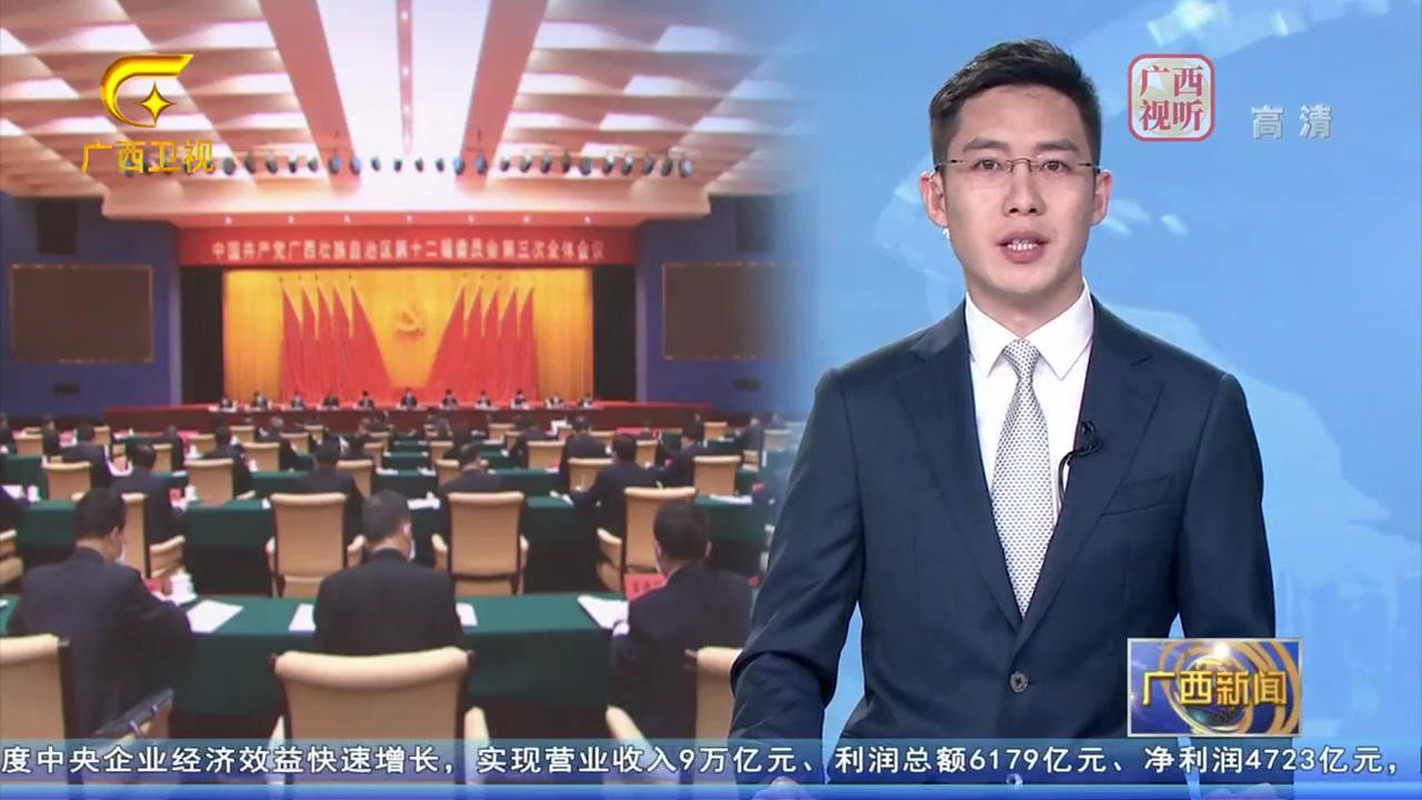 中国共产党广西壮族自治区第十二届委员会第三次全体会议公报