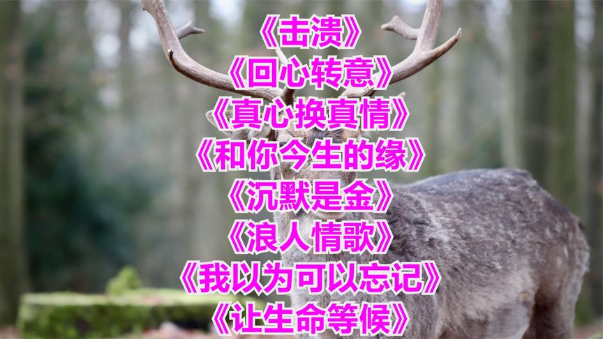 {击溃}{回心转意}{真心换真情}{和你今生的缘}