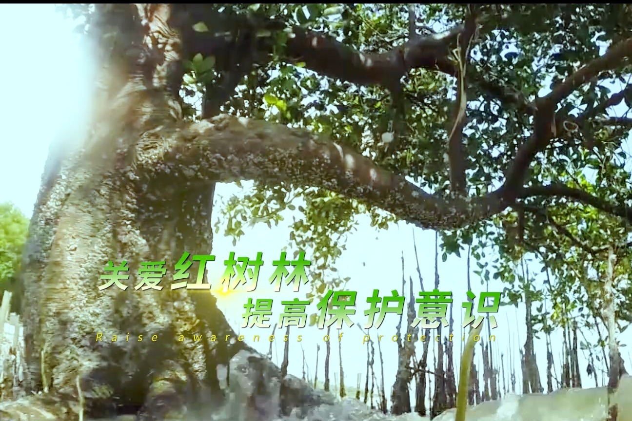 “保护红树林保护海洋生态”主题公益宣传活动圆满成功
