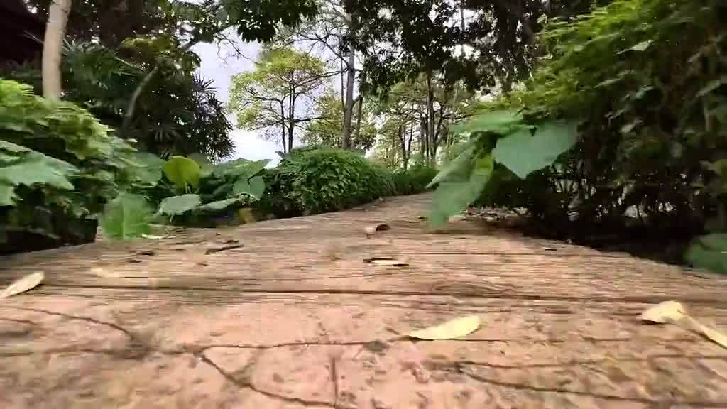 稳定器也能拍出穿越机的感觉,你学会了吗稳定器运镜教程拍摄技巧...