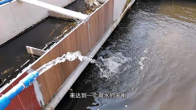 自动化水循环系统,排污方式和补水,水体平衡全靠它