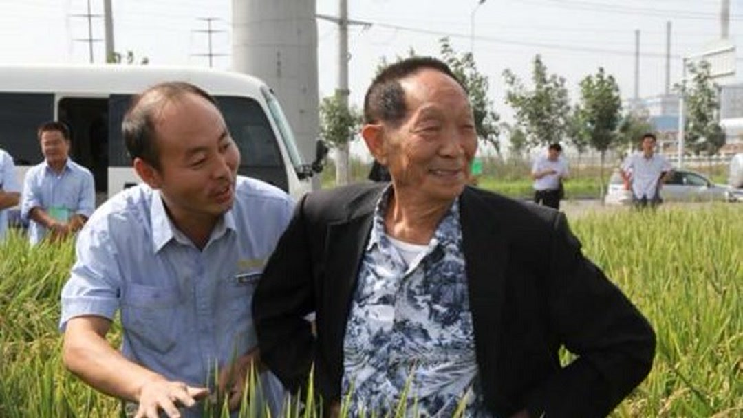 袁隆平的杂交水稻,为人类做了极大贡献,却不能获得诺贝尔奖?