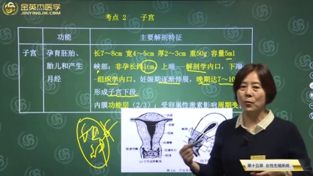 2018临床核心考点全攻略-第15章 女性生殖系统-第1节