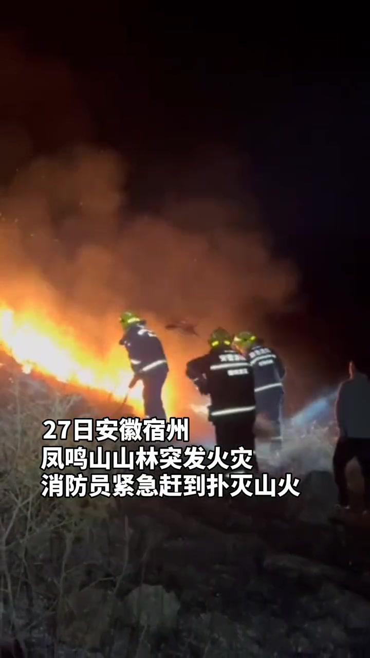 山林突发火灾,现场浓烟滚滚.#森林火灾#消防员
