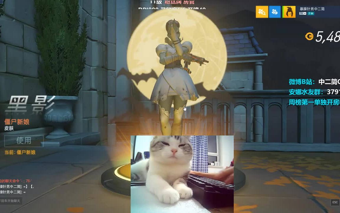...40箱子开出所有新物品!守望先锋国服第一代开箱子猫!全部解锁40/40!