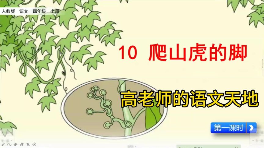 人教版四年级上册语文提前学第10课《爬山虎的脚》的第一课时
