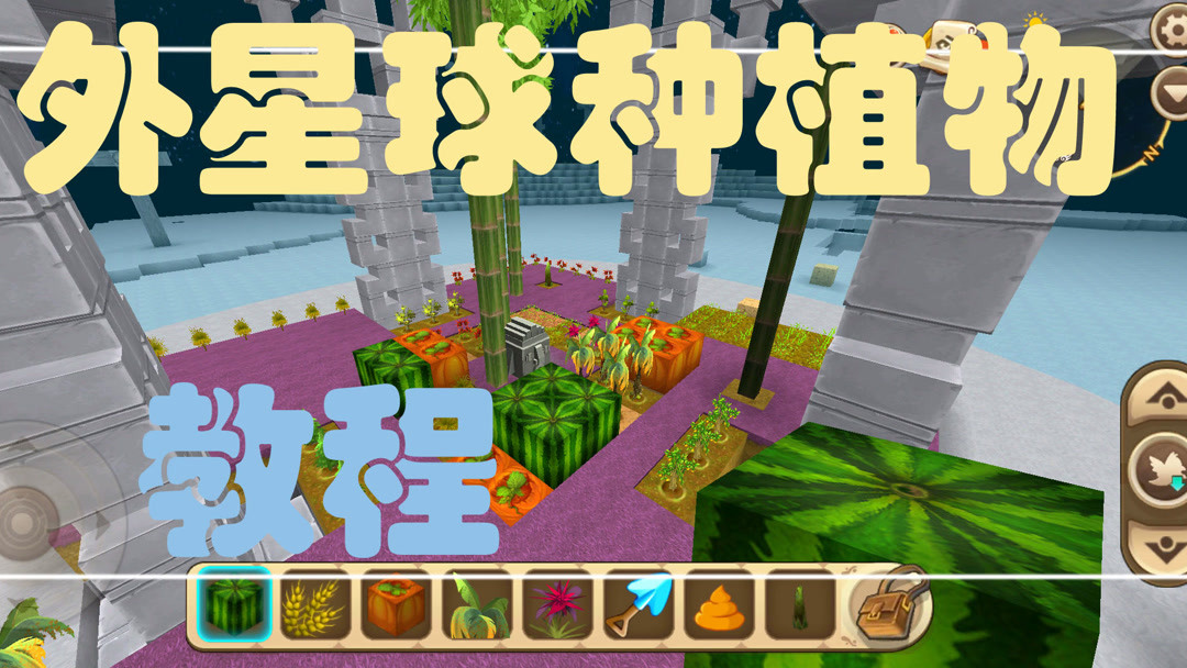 迷你世界教你外星球种植植物